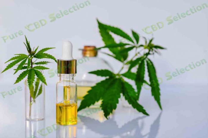 CBD oil distributors - Pure CBD Oil | Pure CBD Selection, Inc.